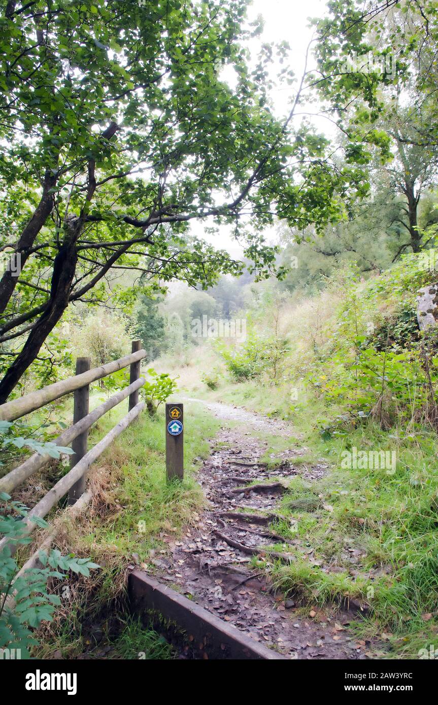 A set of natural steps near a walkway in the countryside Stock Photo ...