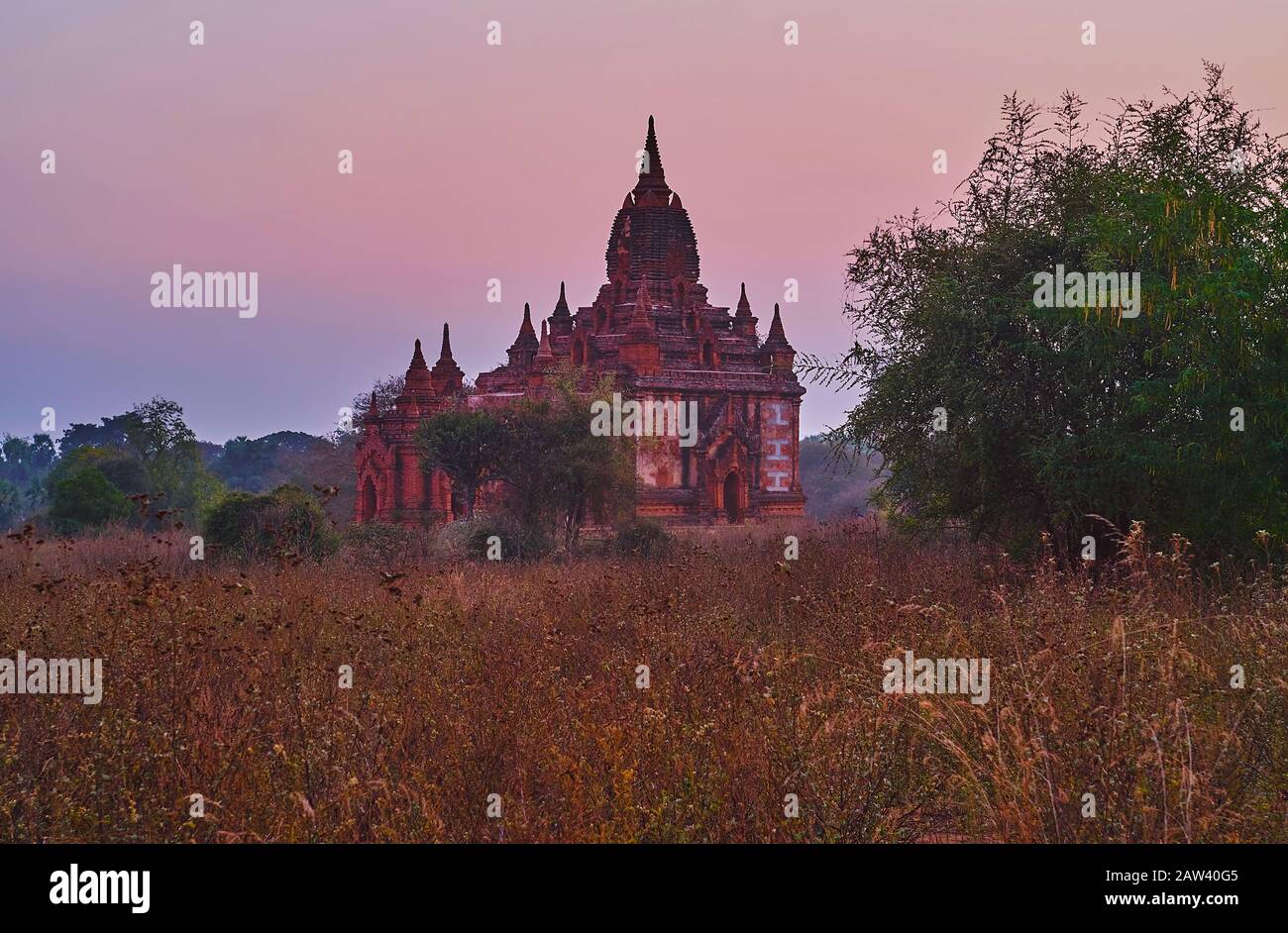 The twilight walk through the tall dry savanna grasses to the ancient ...