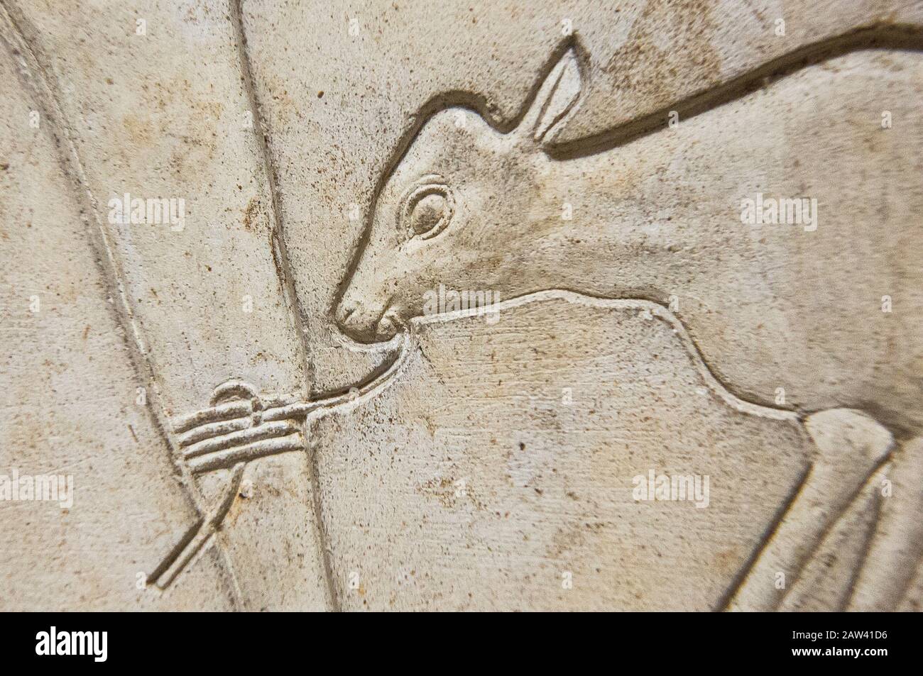 Egypt, Cairo, Egyptian Museum, sarcophagus of the queen Kawit, with ...