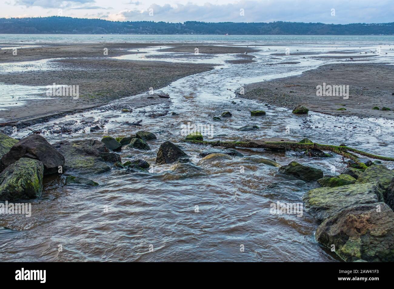 A stream flows into the Puget Sound at Dash Point State Park in ...