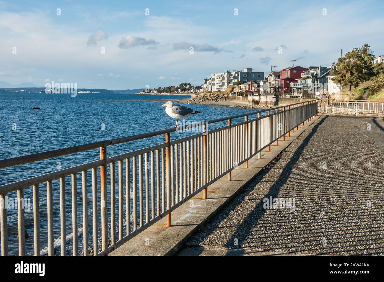 A seagull sits on a waterfront fence in West Seattle, Washington Stock ...