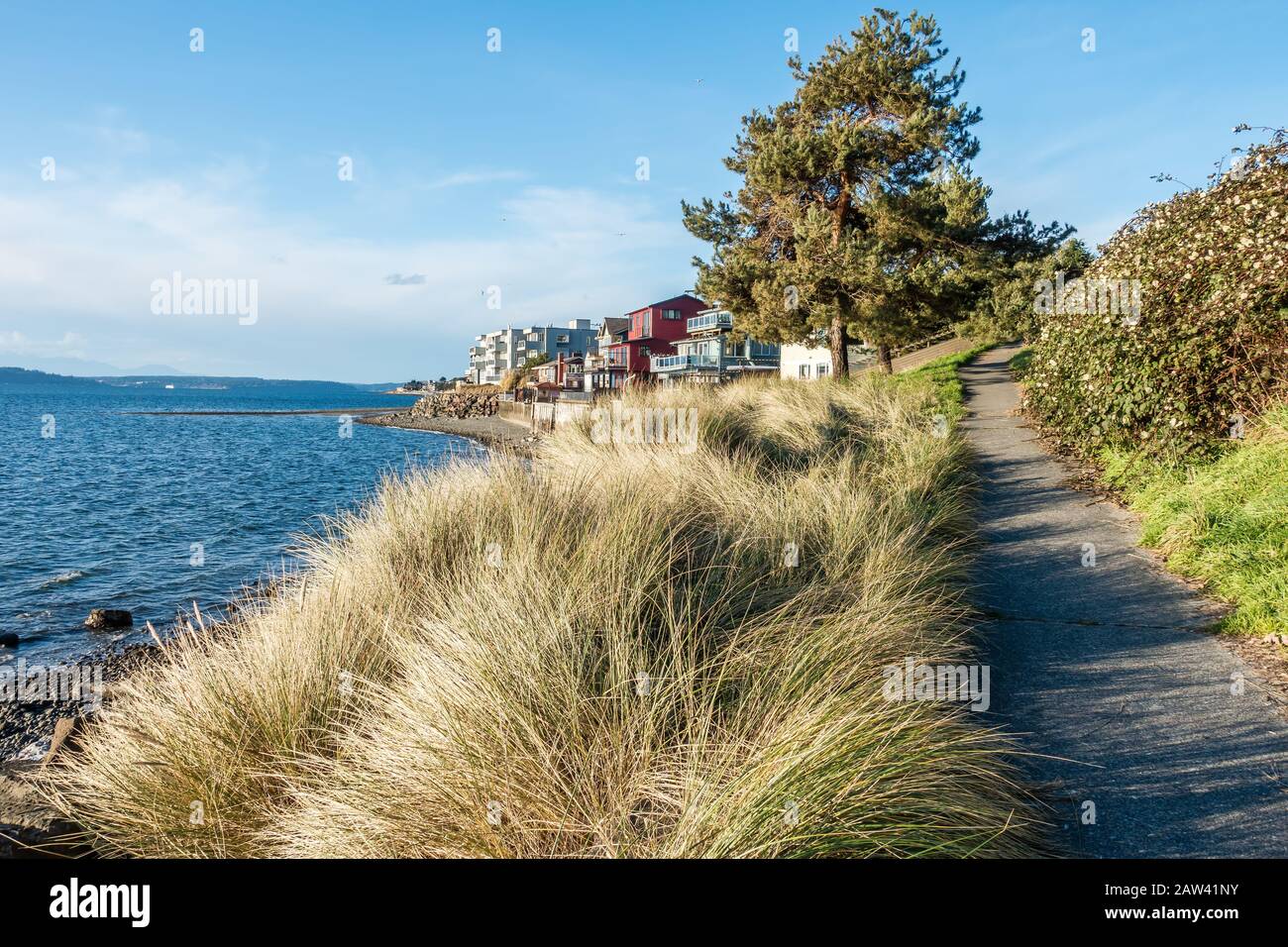 Bushes line a waterfront walkway in West Seattle, Washington Stock ...