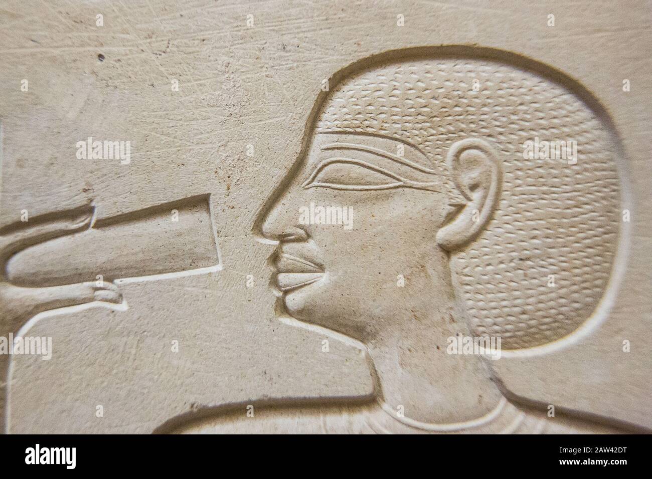 Egypt, Cairo, Egyptian Museum, sarcophagus of the queen Ashait, with ...