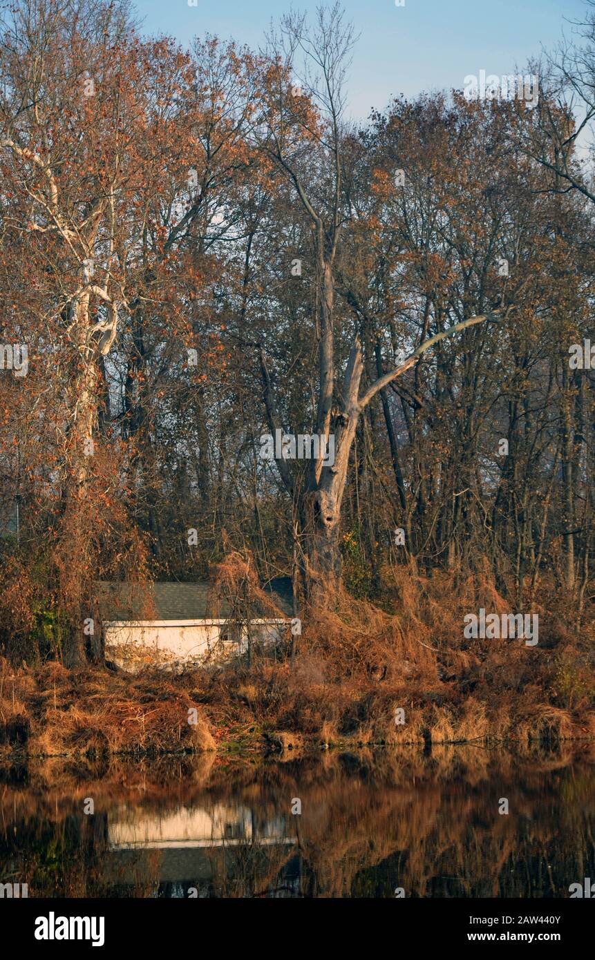 Hidden shed hi-res stock photography and images - Alamy