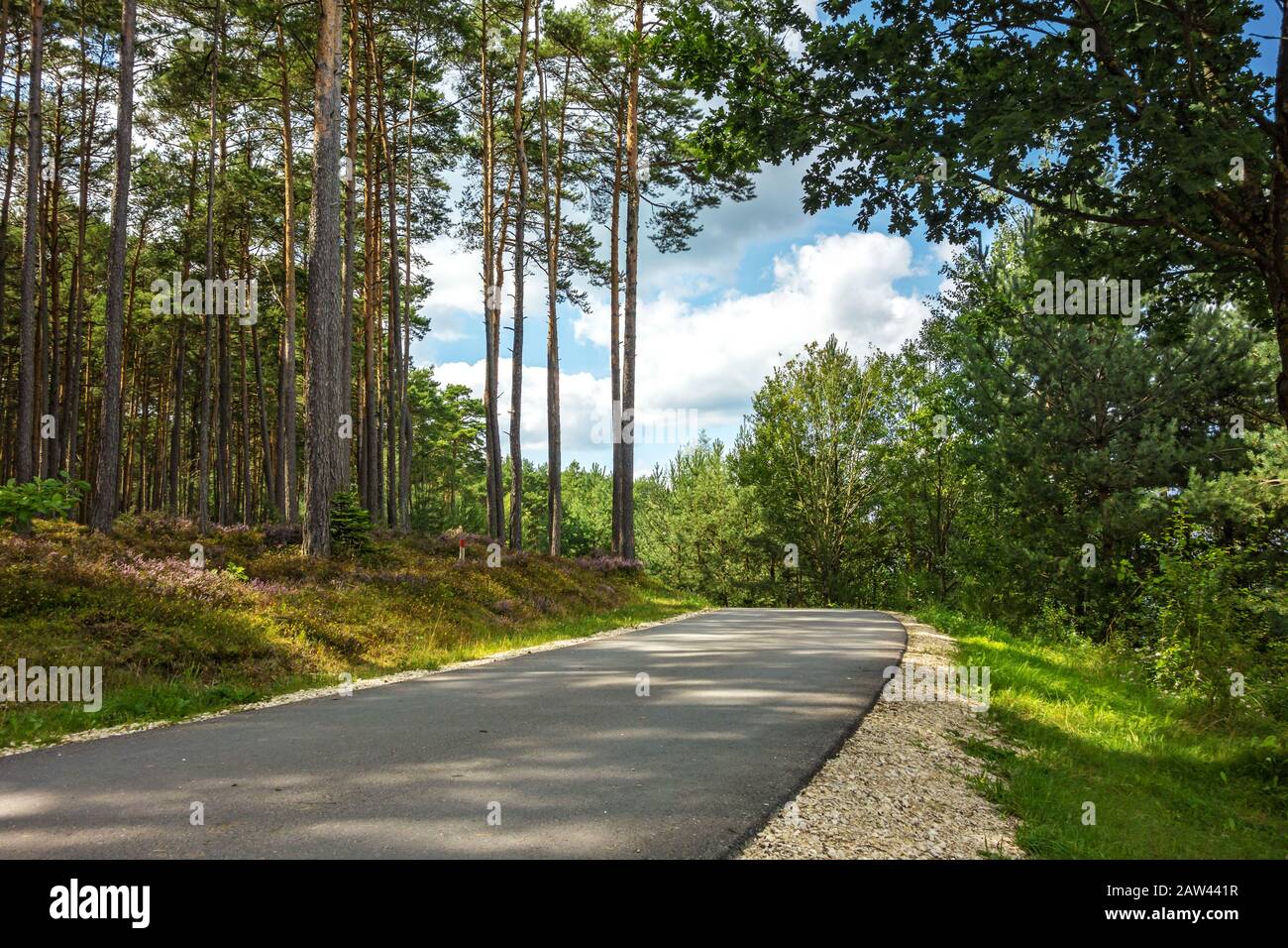 Cycle lane side view hi-res stock photography and images - Alamy