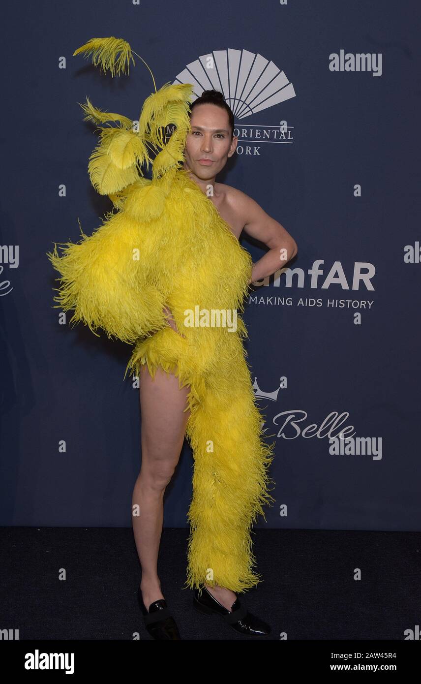 NEW YORK, NEW YORK - FEBRUARY 05: Di Mondo attends the 2020 amfAR New ...