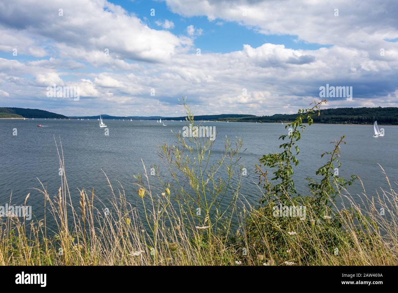 at the Brombachsee, Germany, Bavaria Stock Photo - Alamy