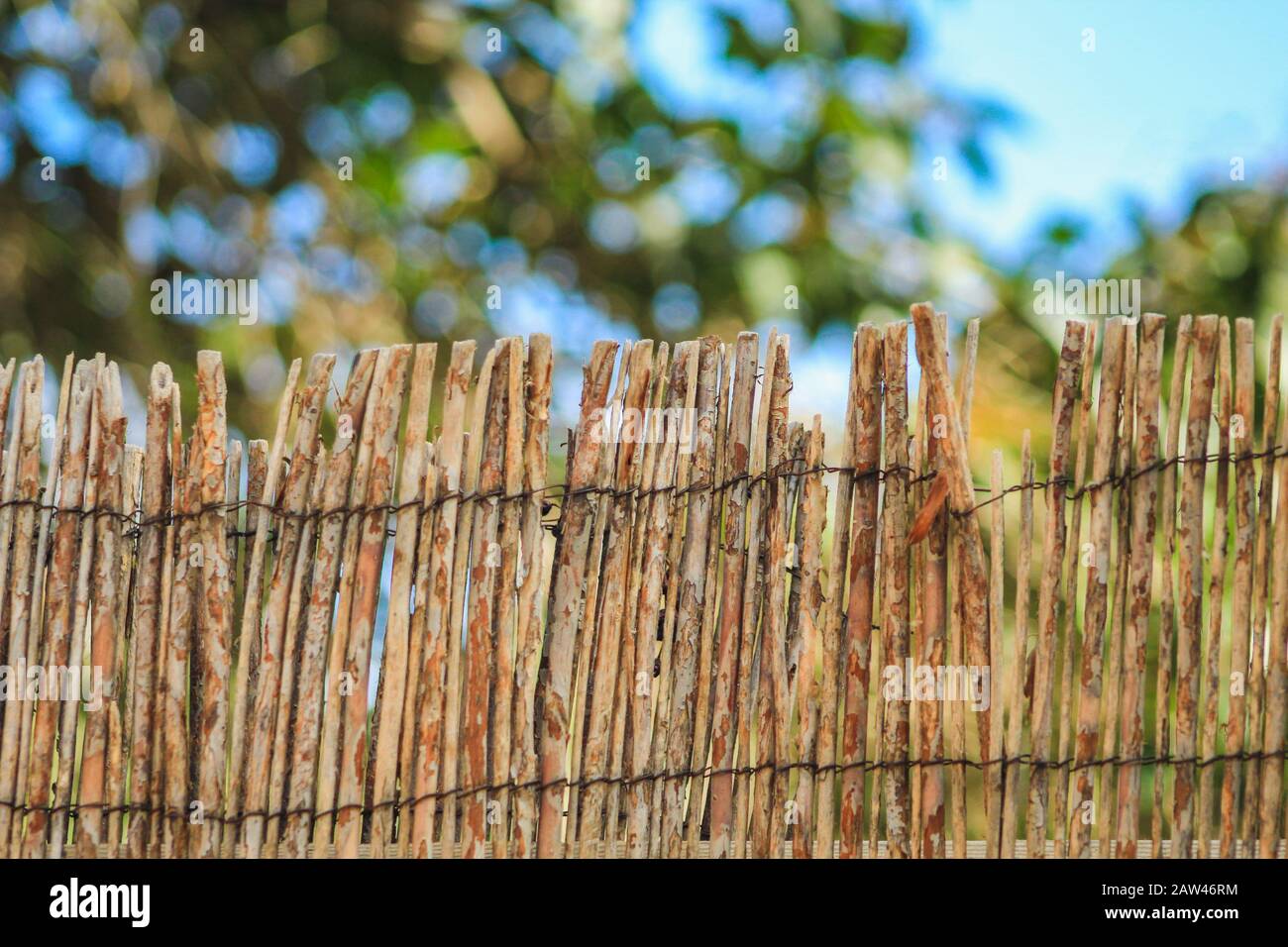 Bamboo fence border garden hi-res stock photography and images - Alamy