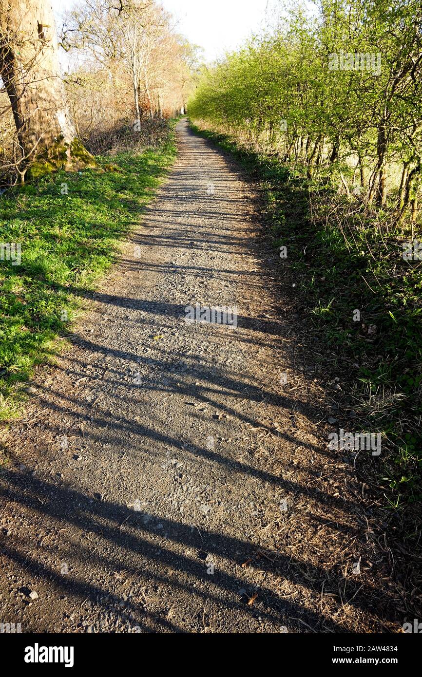 Walkway between trees hi-res stock photography and images - Alamy