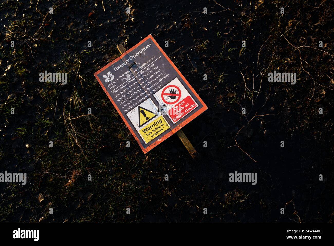 Warning sign in the New Forest Hampshire England of forest management ...