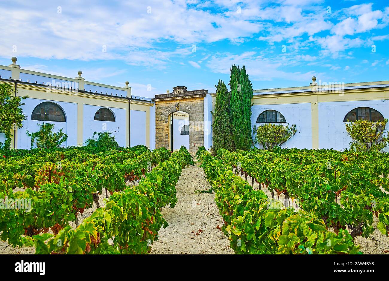 Jerez spain sherry vineyard hi-res stock photography and images - Alamy