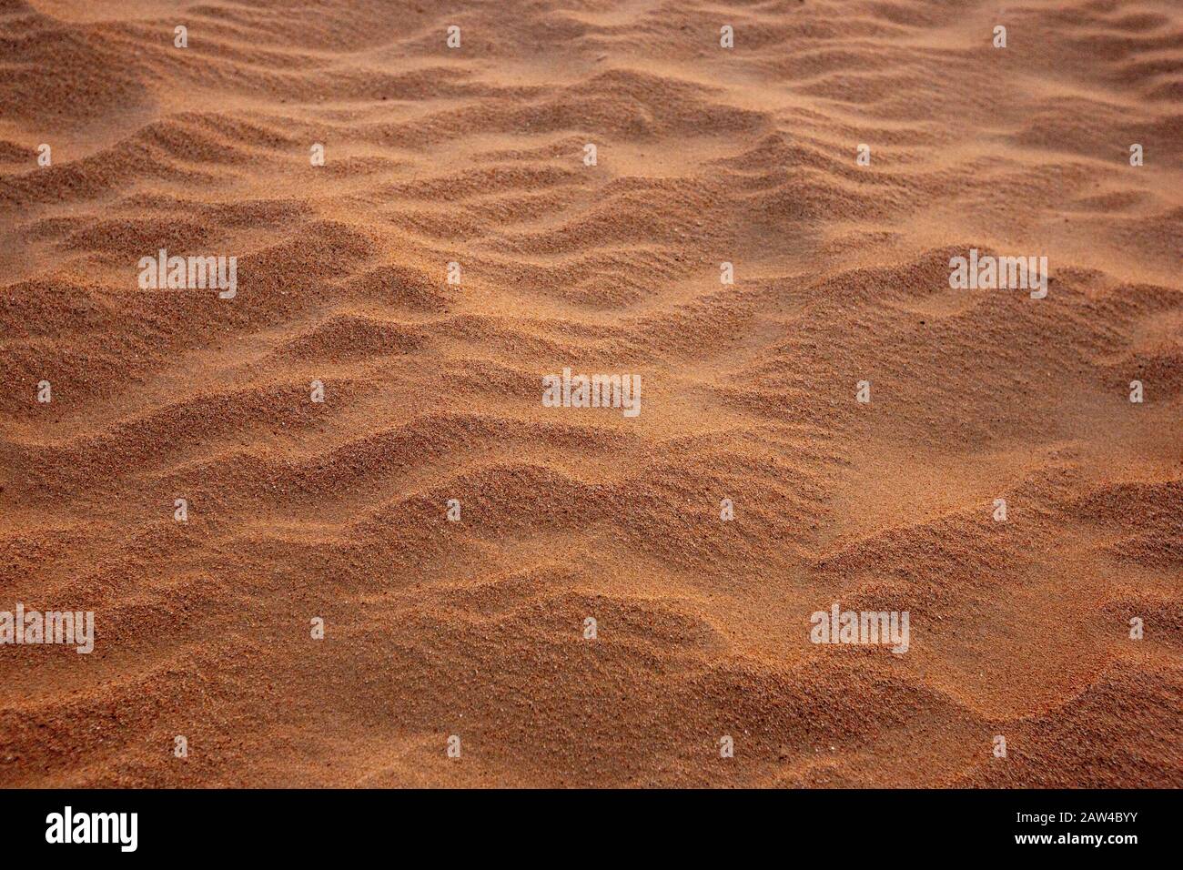 The Empty Quarter, or Rub al Khali, is the world's largest sand desert ...
