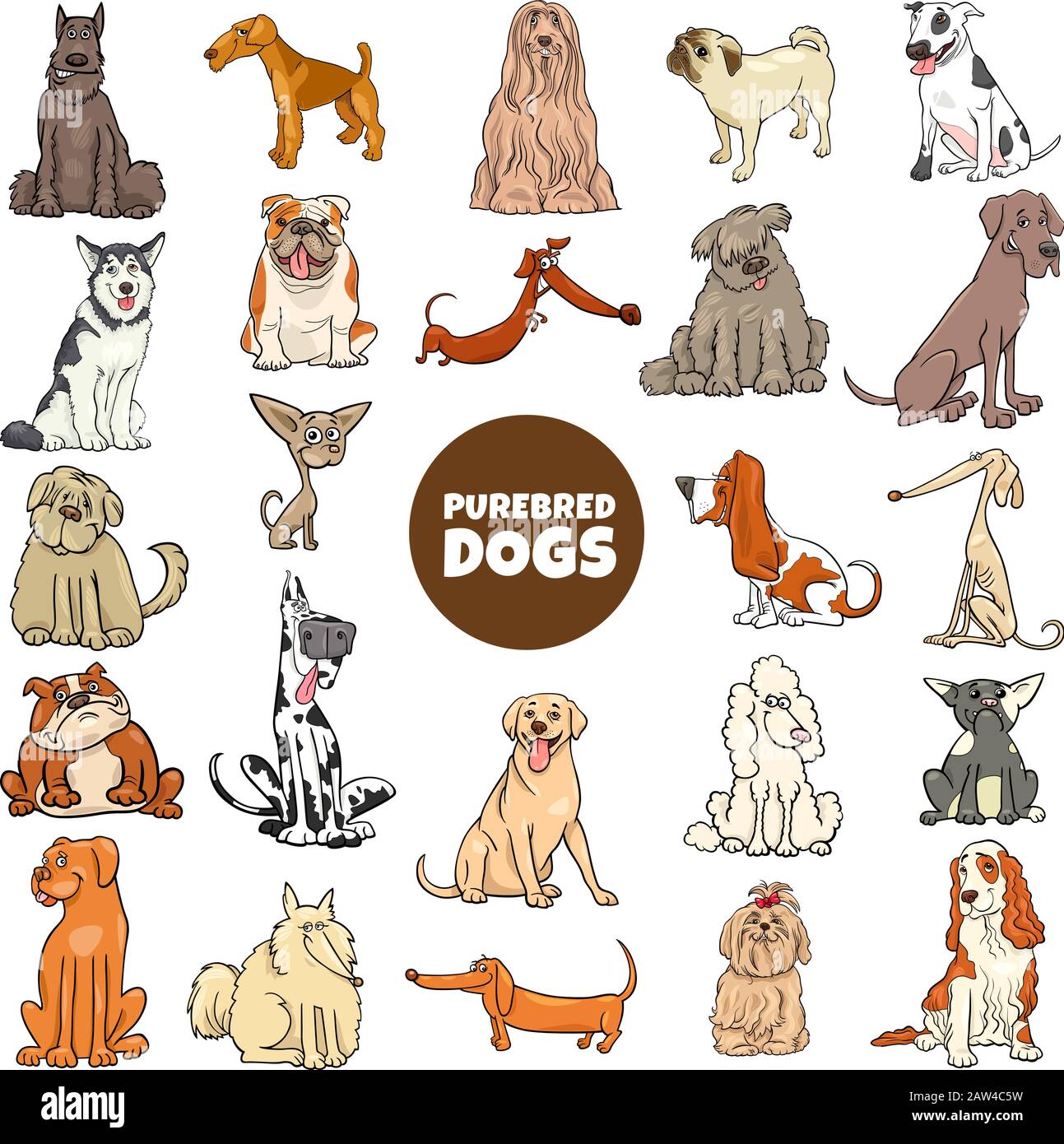 Bull terrier puppies Cut Out Stock Images & Pictures - Alamy