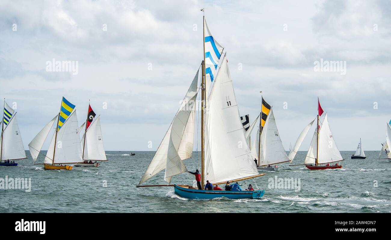 Traditional Falmouth working boats in full sail in the breezes of the ...