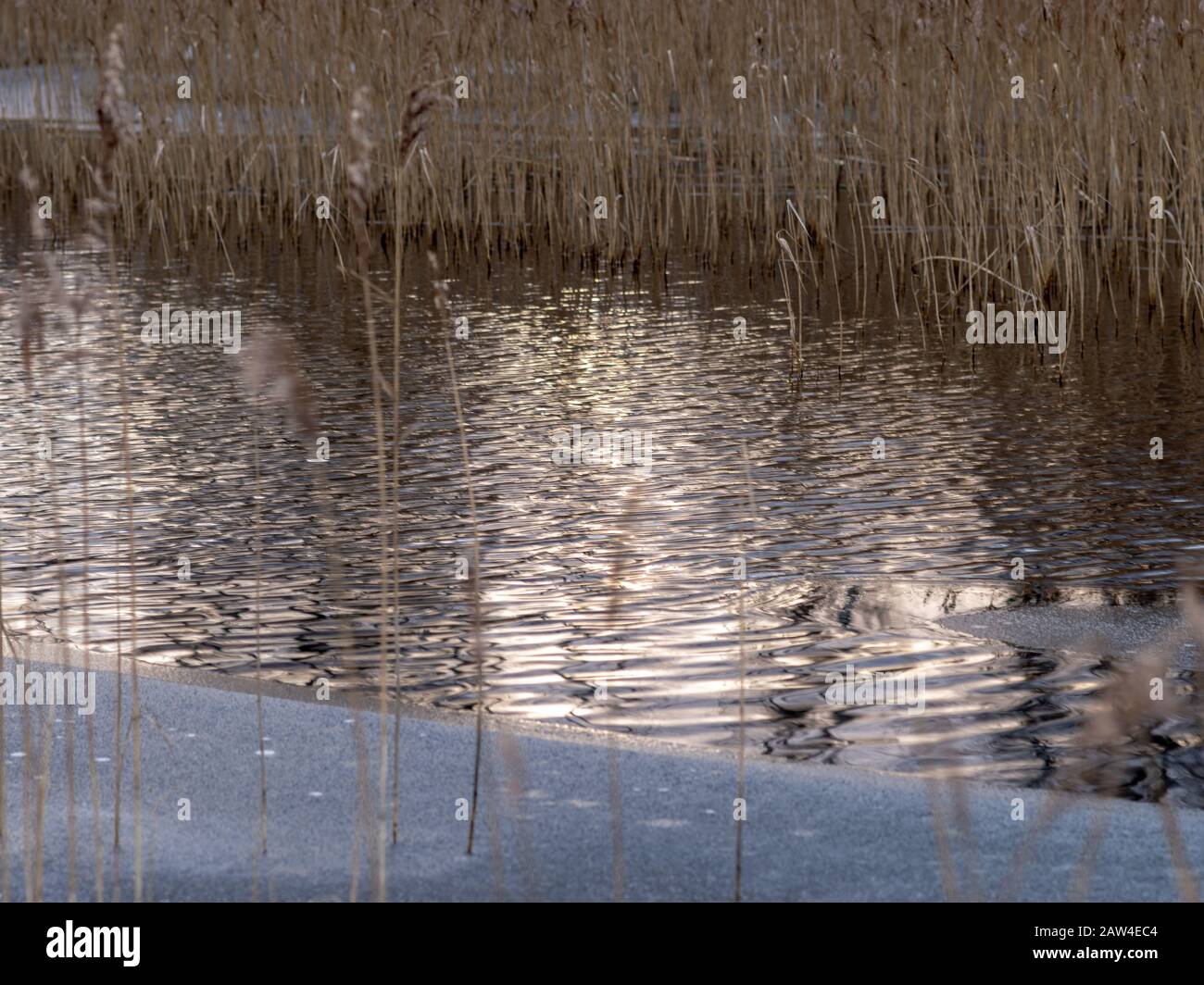 abstract tree reflections in water, ice and water texture Stock Photo ...
