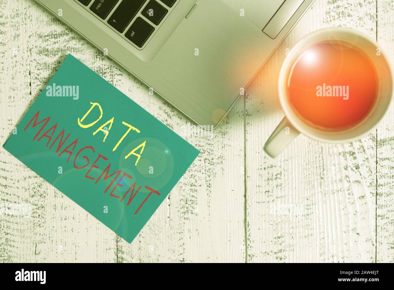 Conceptual hand writing showing Data Management. Concept meaning disciplines related to managing ...