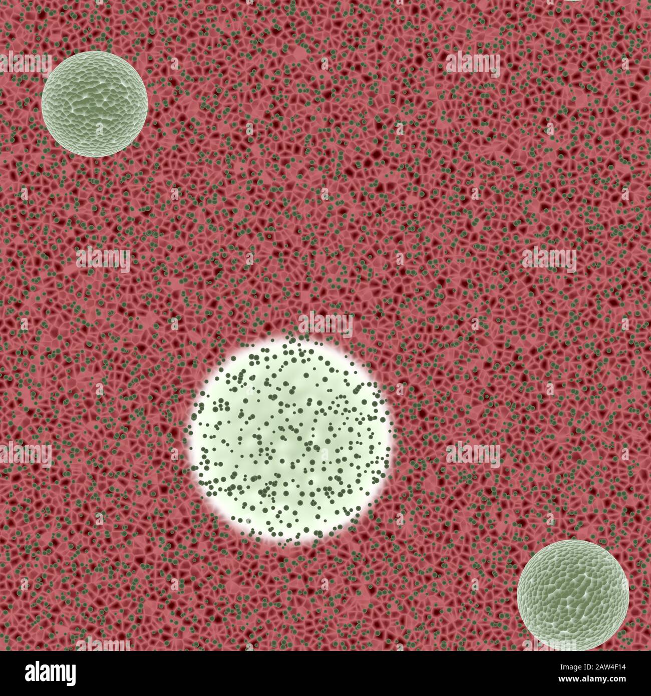 Live blood microscope hi-res stock photography and images - Alamy