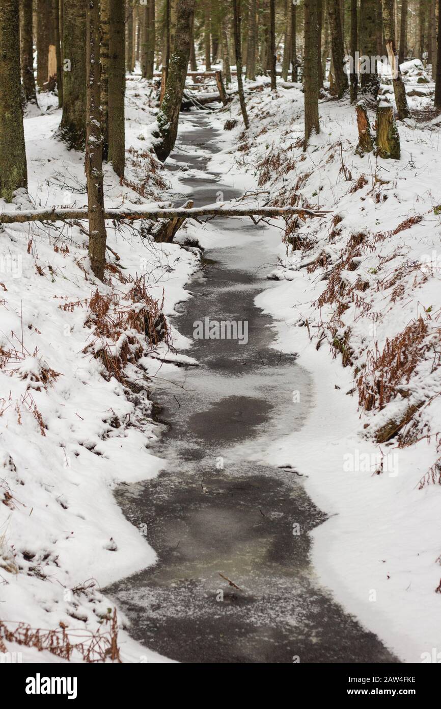winter forest stream clean fresh water in ice Stock Photo - Alamy