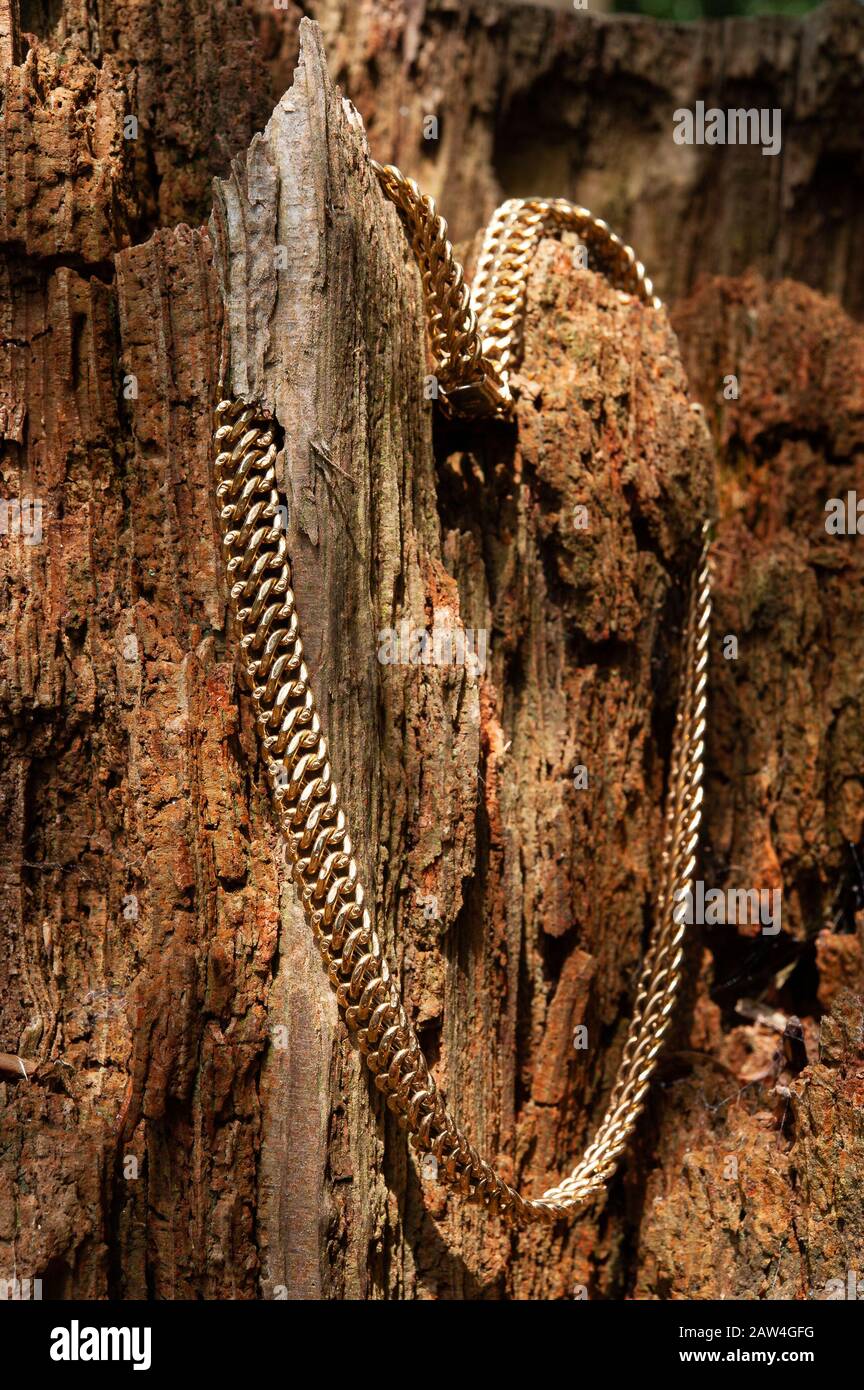 18ct Gold chain link necklace draped over an old tree stump in the ...