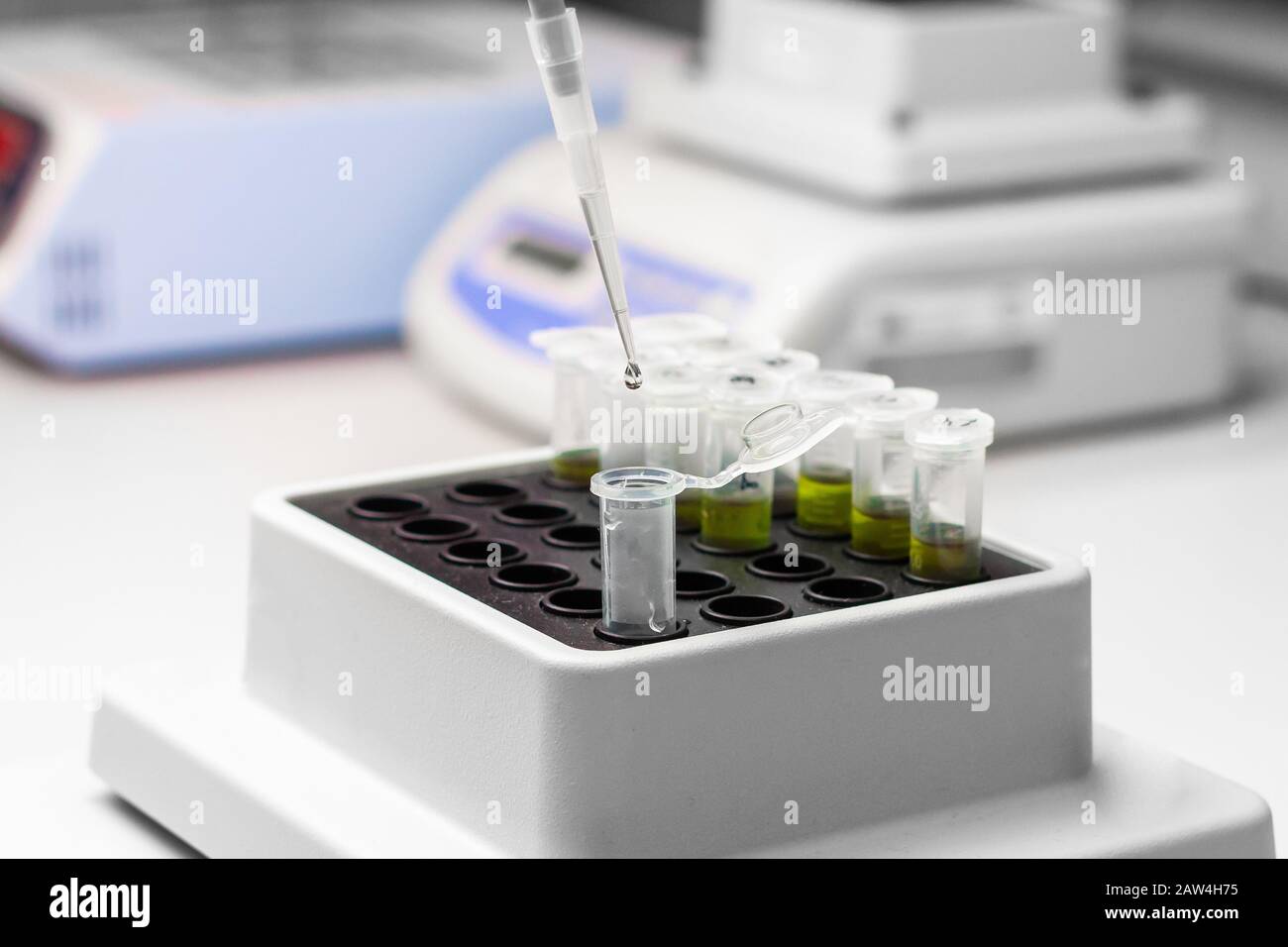 Green substance in microtube is put in thermo shaker. DNA experiment in ...