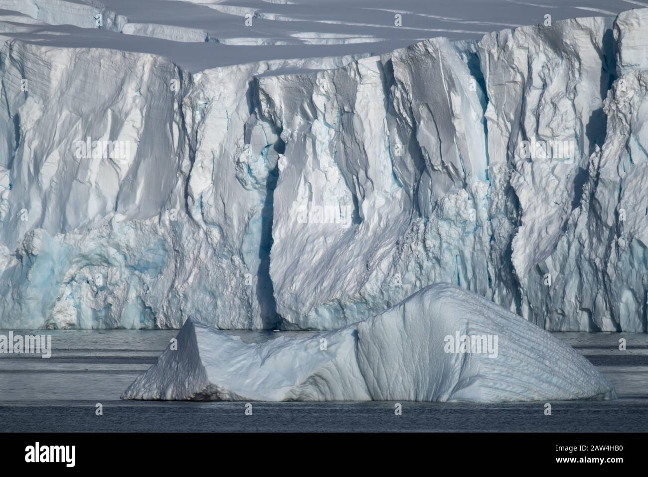 Beautiful icebergs in stunning icy landscapes, Chiriguano Bay, Danko ...