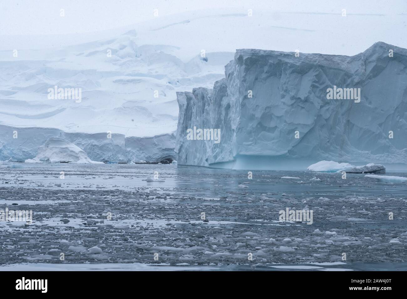 Beautiful icebergs in stunning icy landscapes, Chiriguano Bay, Fournier ...
