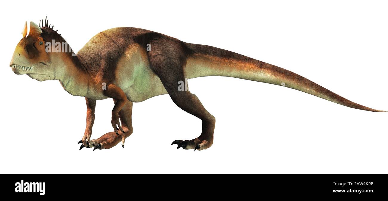 Cryolophosaurus was a carnivorous theropod dinosaur, known for a ...