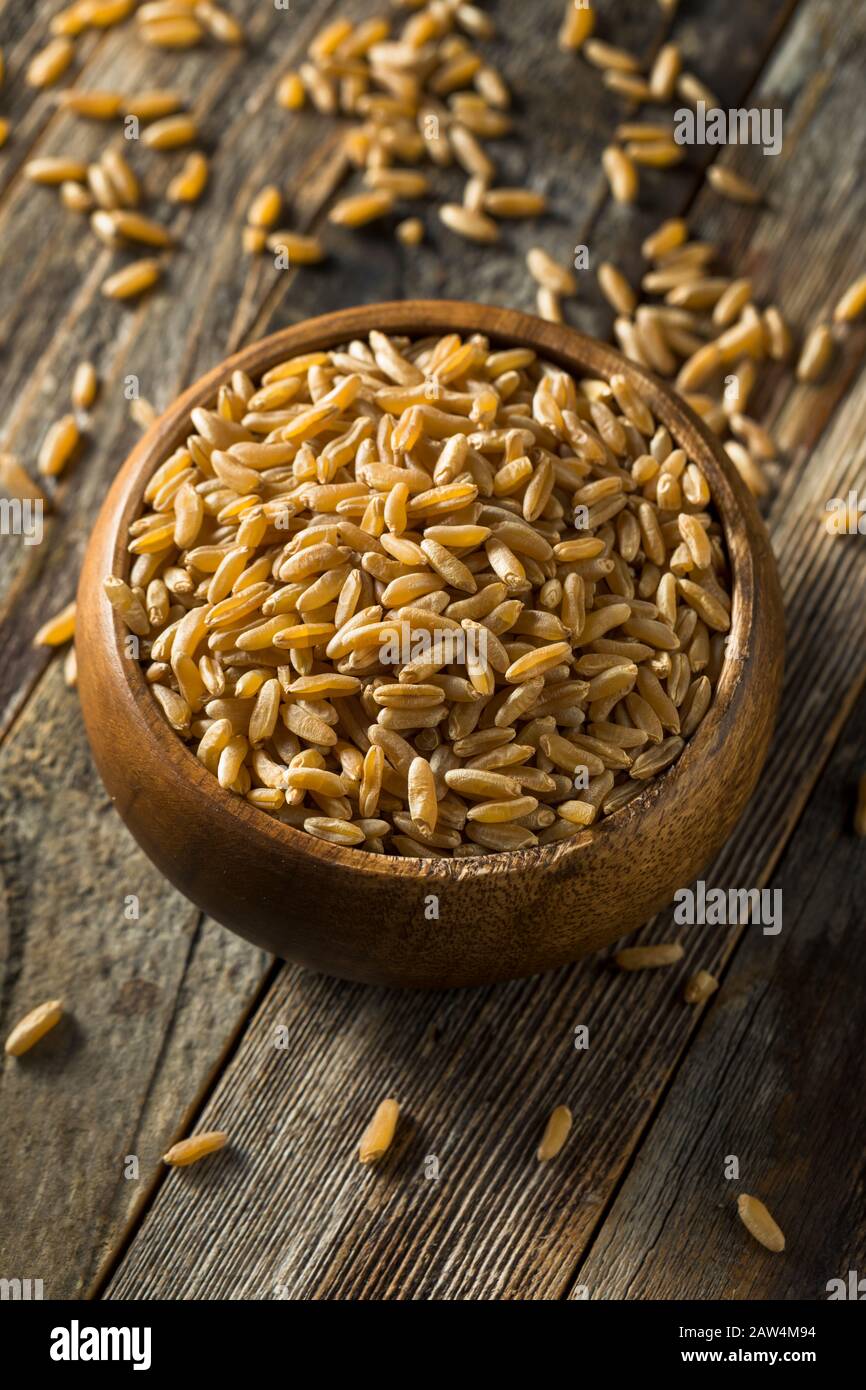Khorasan wheat hi-res stock photography and images - Alamy