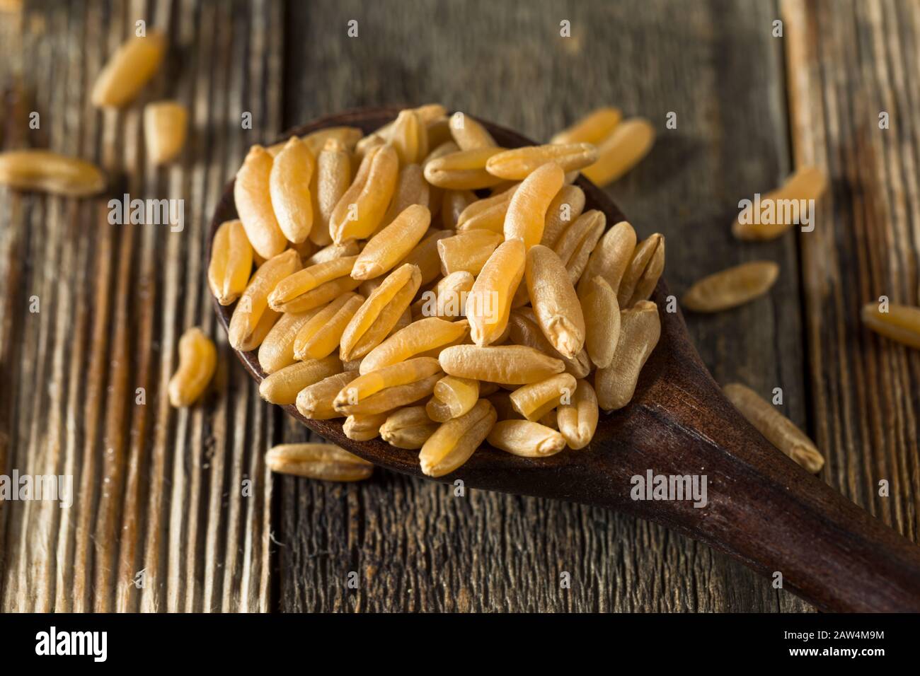 Khorasan wheat hi-res stock photography and images - Alamy