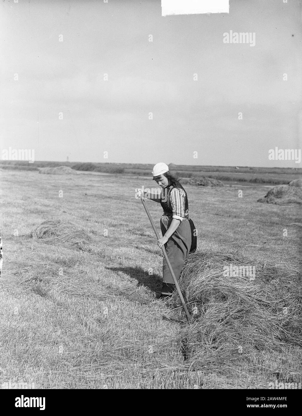 Marker farmer cutting hay Date: June 22, 1949 Keywords: hay, farmers ...