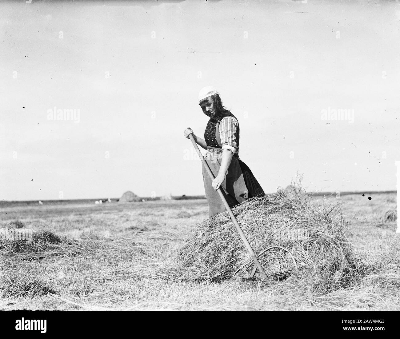 Marker farmer cutting hay Date: June 22, 1949 Keywords: hay, farmers ...