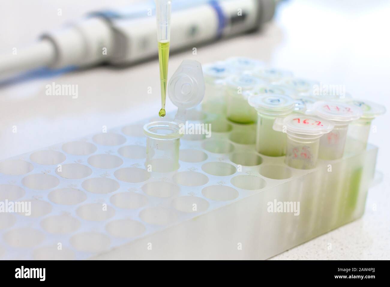 Clinical laboratory in process of chemical analysis. Collection of ...