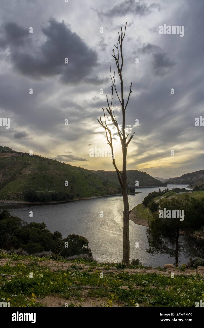 The king Talal Dam is a large and beautiful dam in the hills of ...