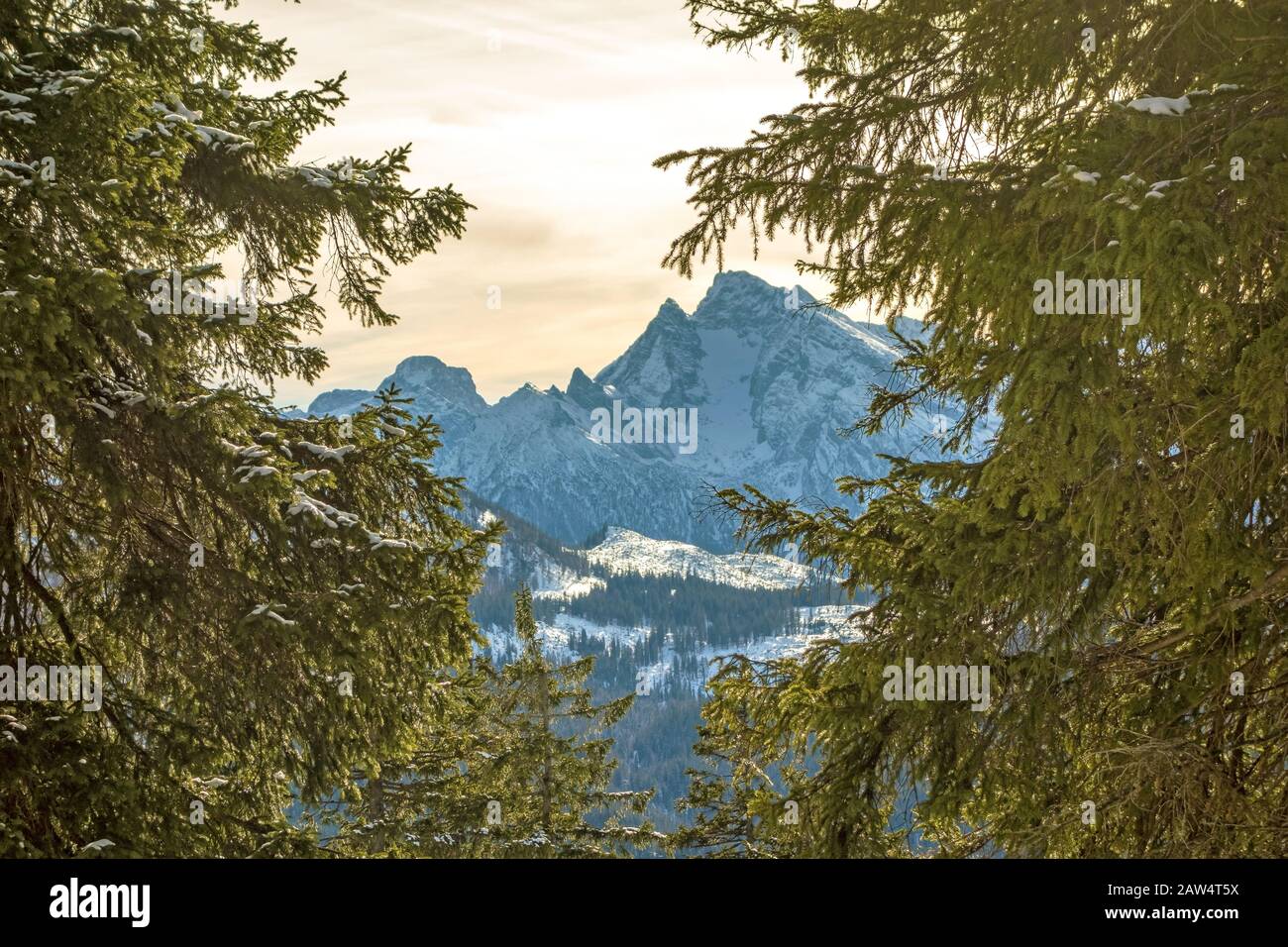 view of a mountain peak through the trees Stock Photo - Alamy
