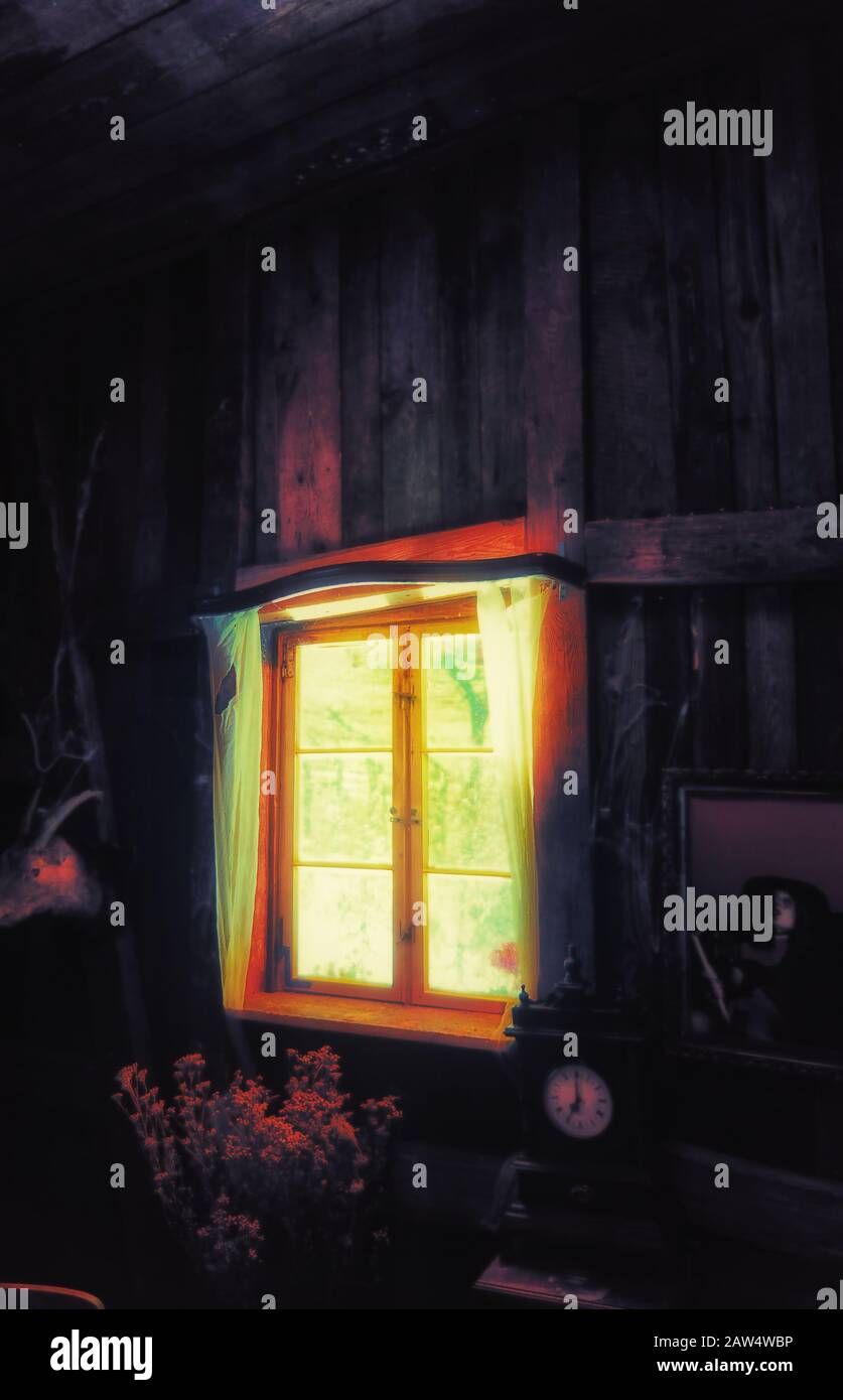 Vintage still life with sunlit window and flowers Stock Photo - Alamy