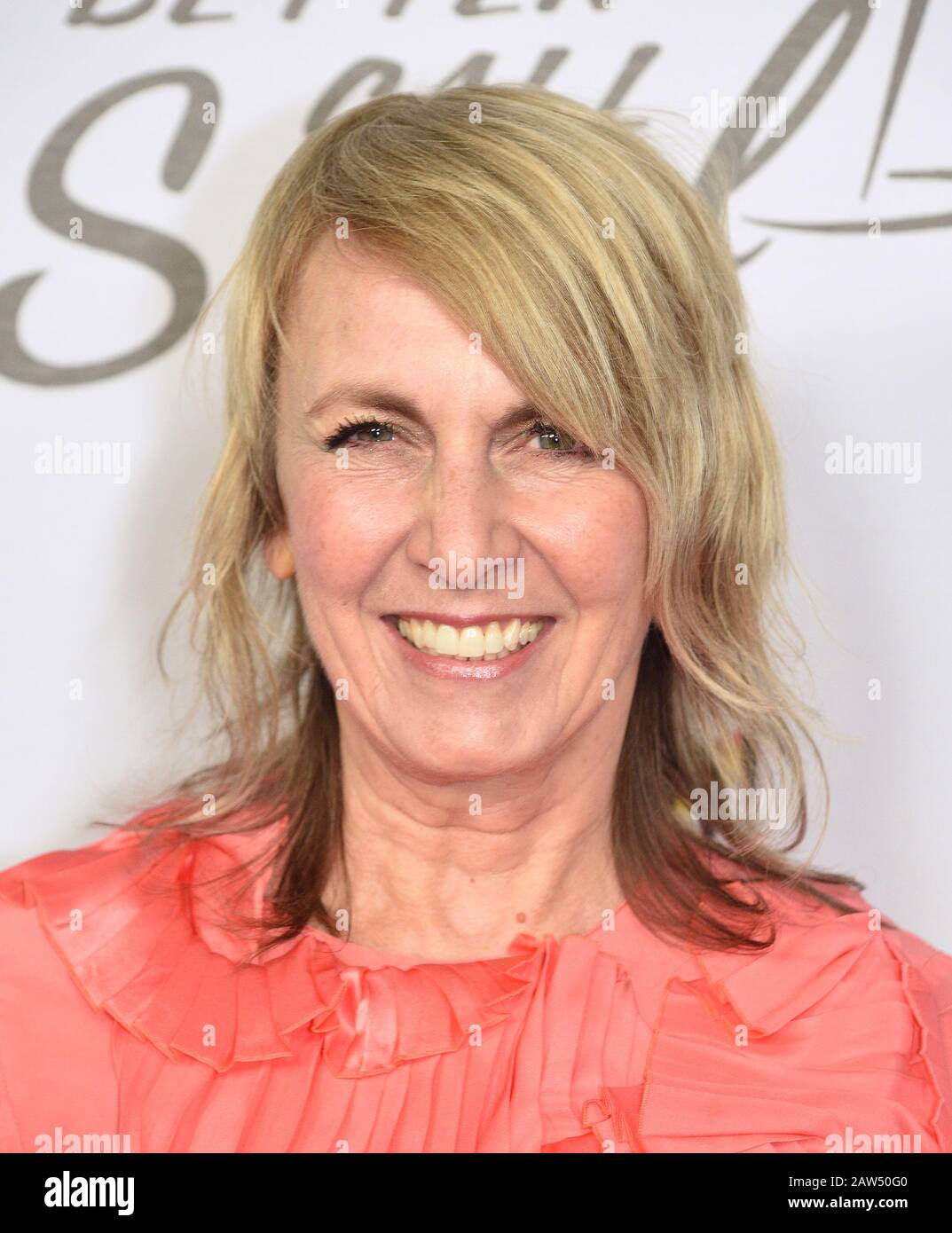 HOLLYWOOD, CALIFORNIA - FEBRUARY 05: Bronwen Hughes attends the ...