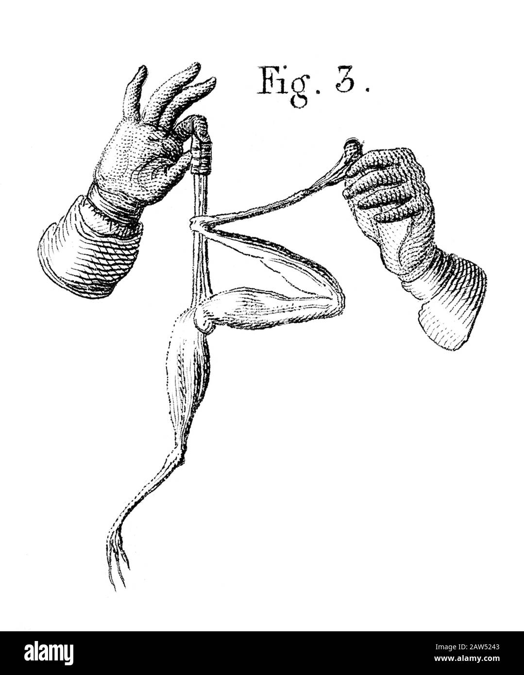 Galvanic experiments Black and White Stock Photos & Images - Alamy