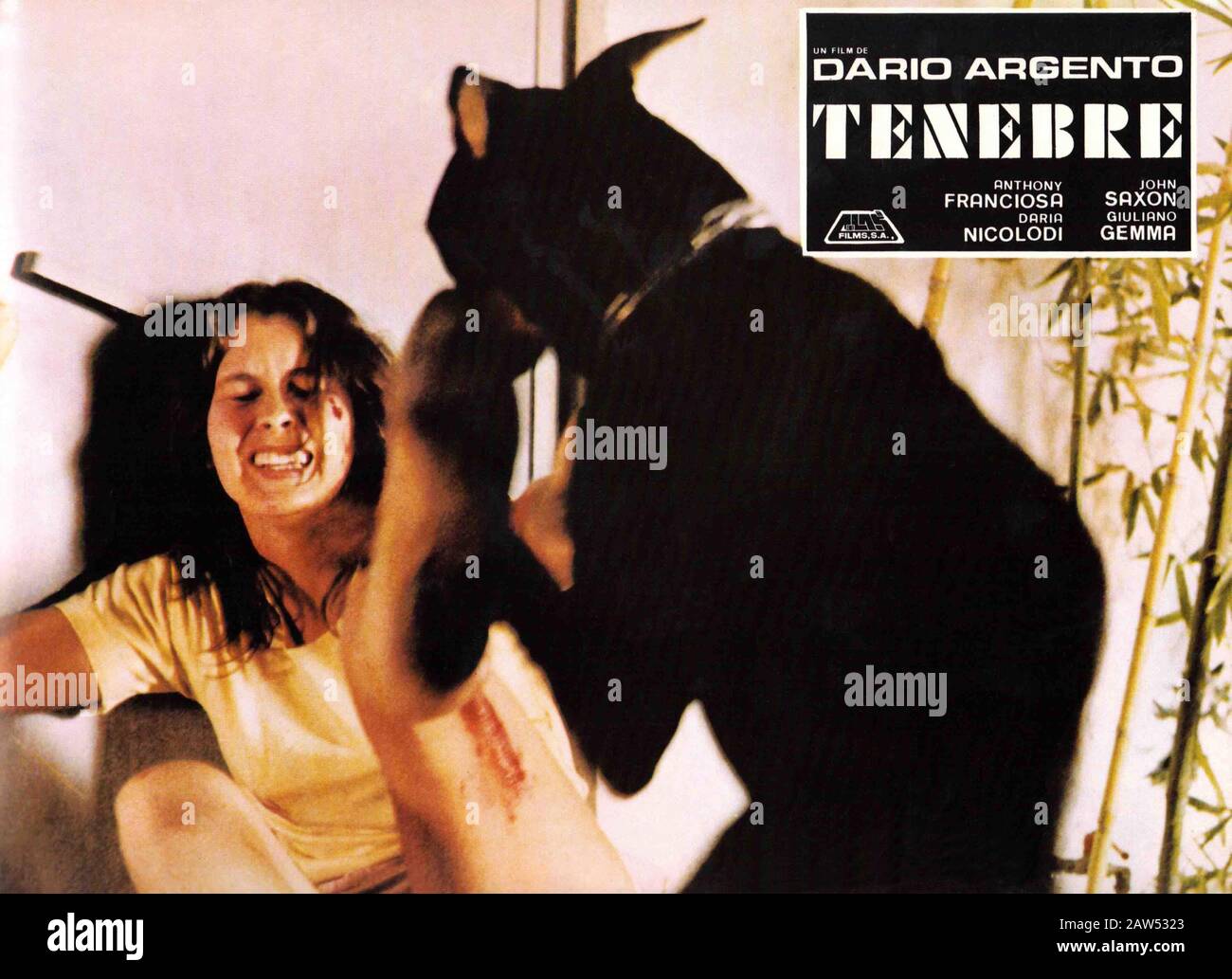 1982 , ITALY : The FRENCH poster advertising for the movie TENEBRE ...