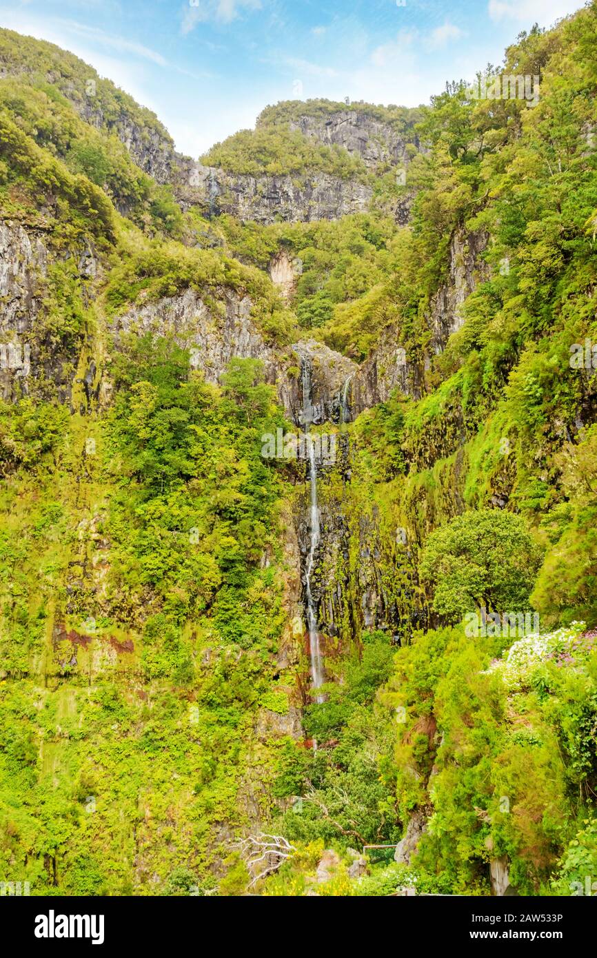 View of waterfall 25 fontes (25 fountains) and greenish forest ...