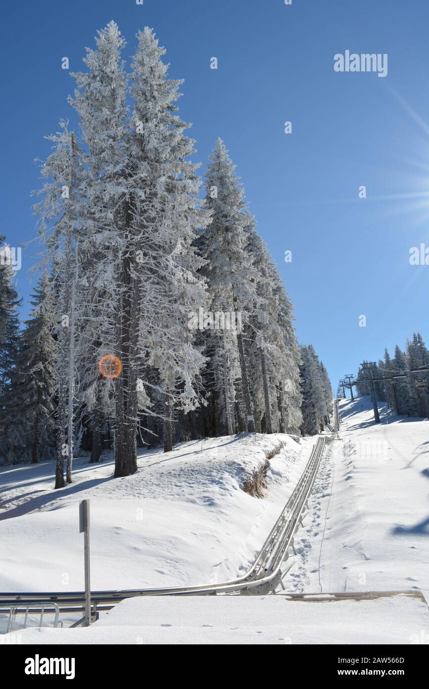 Lens competition hi-res stock photography and images - Alamy