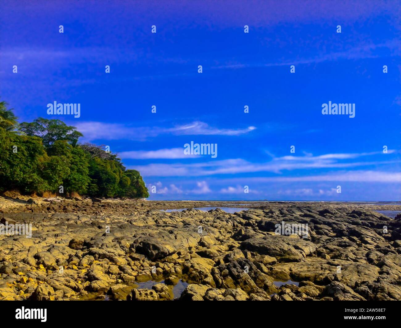 Rocky Ocean Bottom Stock Photo - Alamy