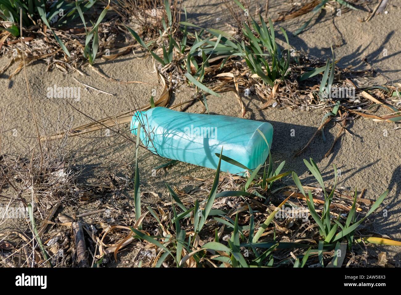 Plastic soap container on sandy sea coast plant ecosystem,pollution ...