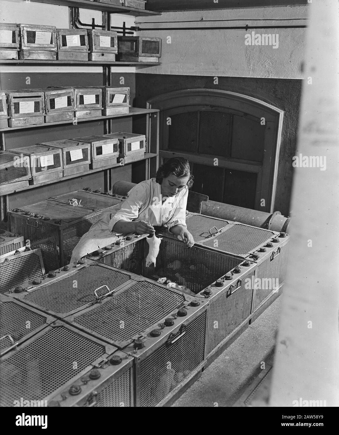 Biochemistry testing Black and White Stock Photos & Images - Alamy