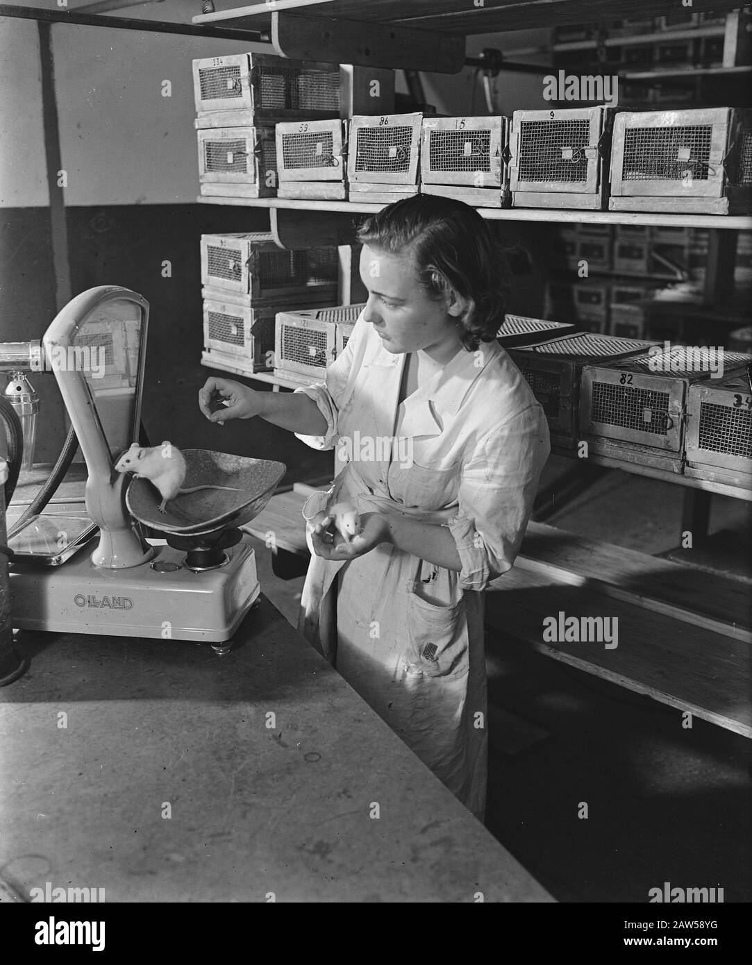 Experimental stations hi-res stock photography and images - Alamy