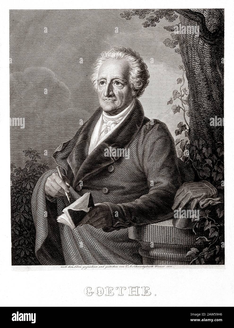 1832 , GERMANY : The german poet Johann Wolfgang von GOETHE ( 1749 ...