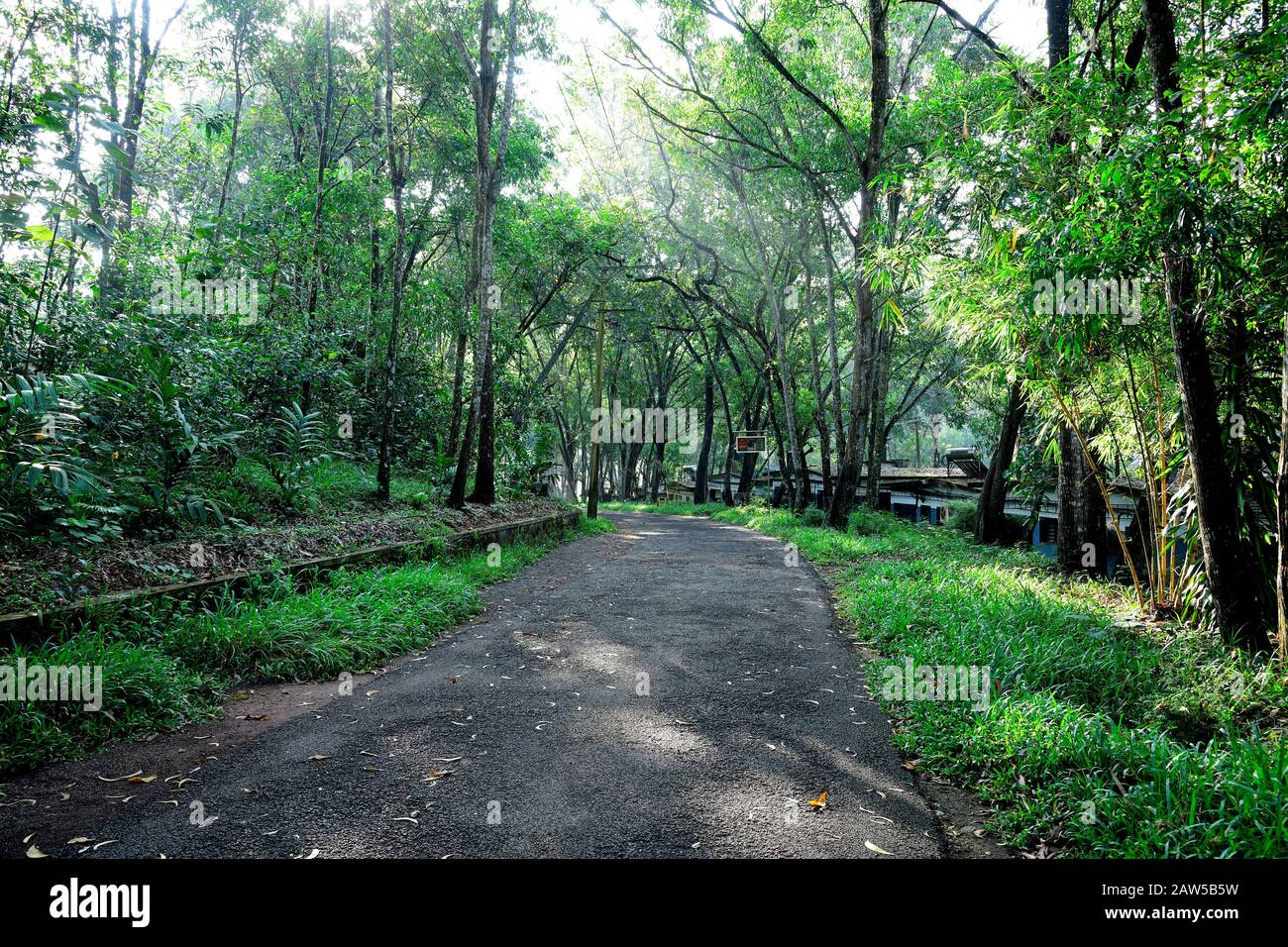 Kottoor elephant rehabilitation centre hi-res stock photography and ...