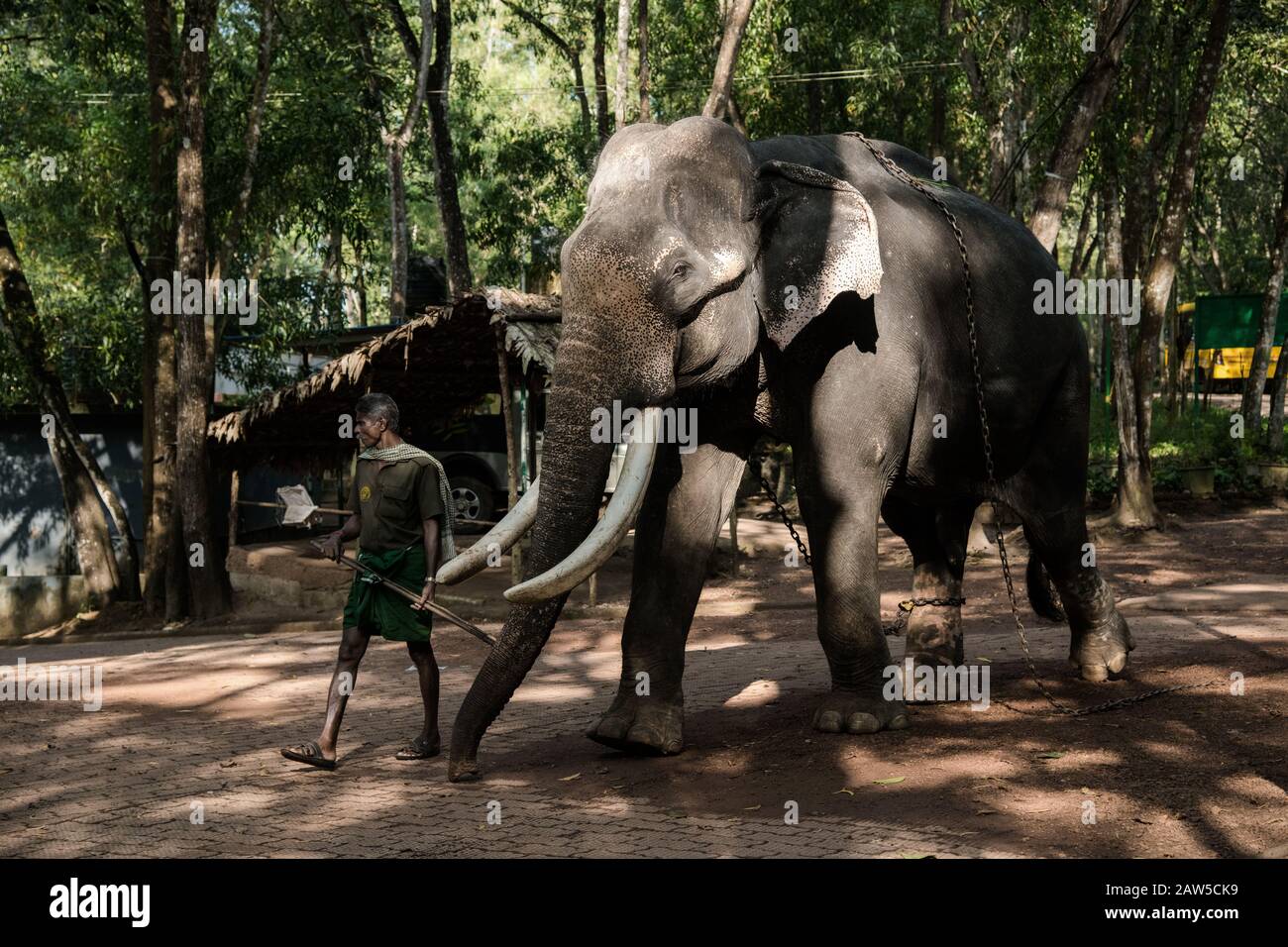 Kottoor elephant rehabilitation centre hi-res stock photography and ...