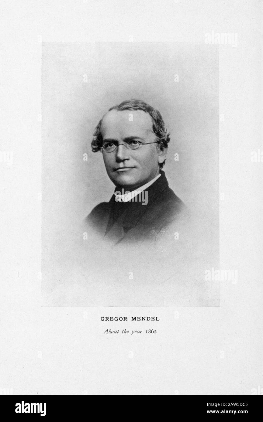 Gregor johann mendel hi-res stock photography and images - Alamy