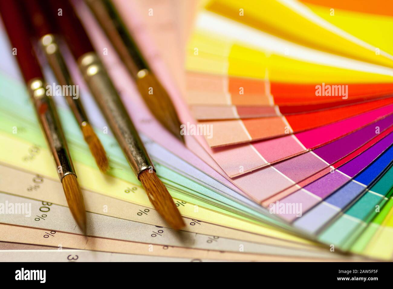 Brushes on a color print of pantone statistics offset scale Stock Photo ...