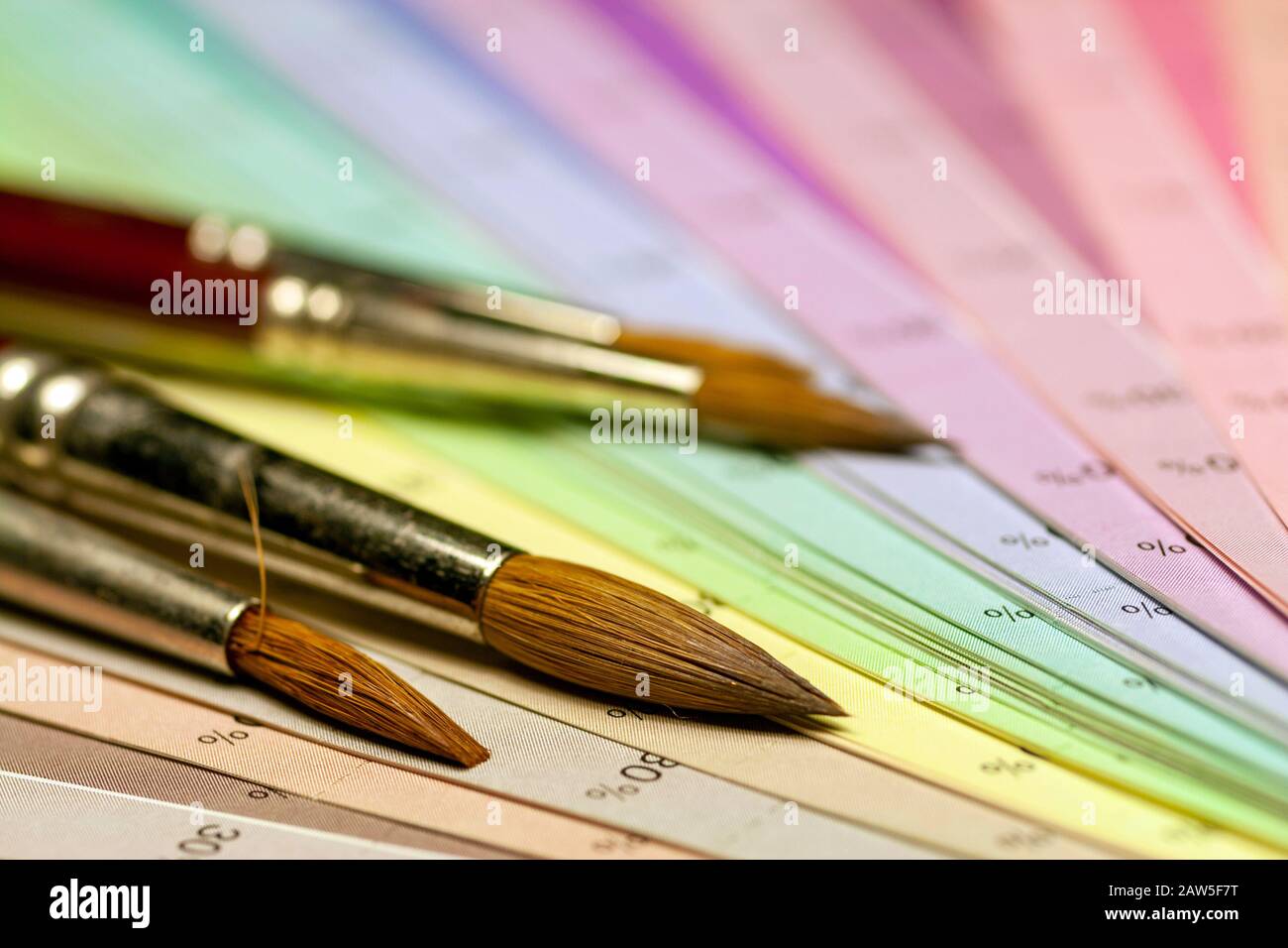 Brushes on a color print of pantone statistics offset scale Stock Photo ...